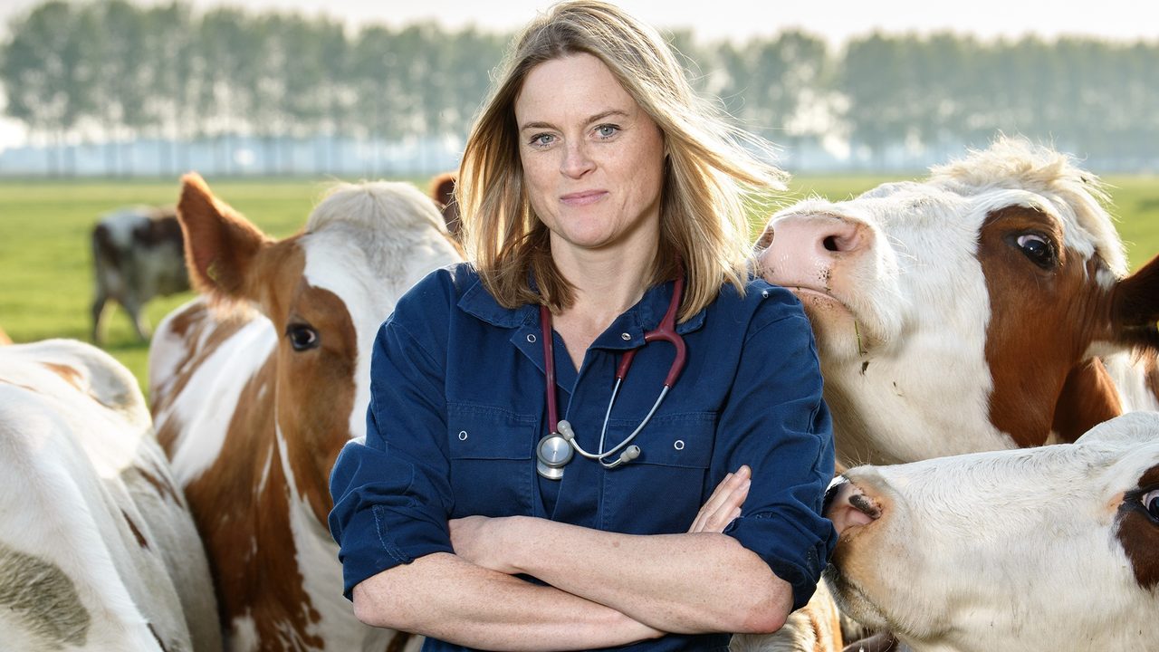 Veearts Maaike - Pathé Thuis