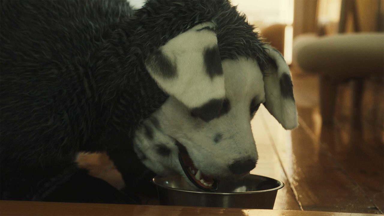 Bekijk de trailer van Good Boy - Pathé Thuis