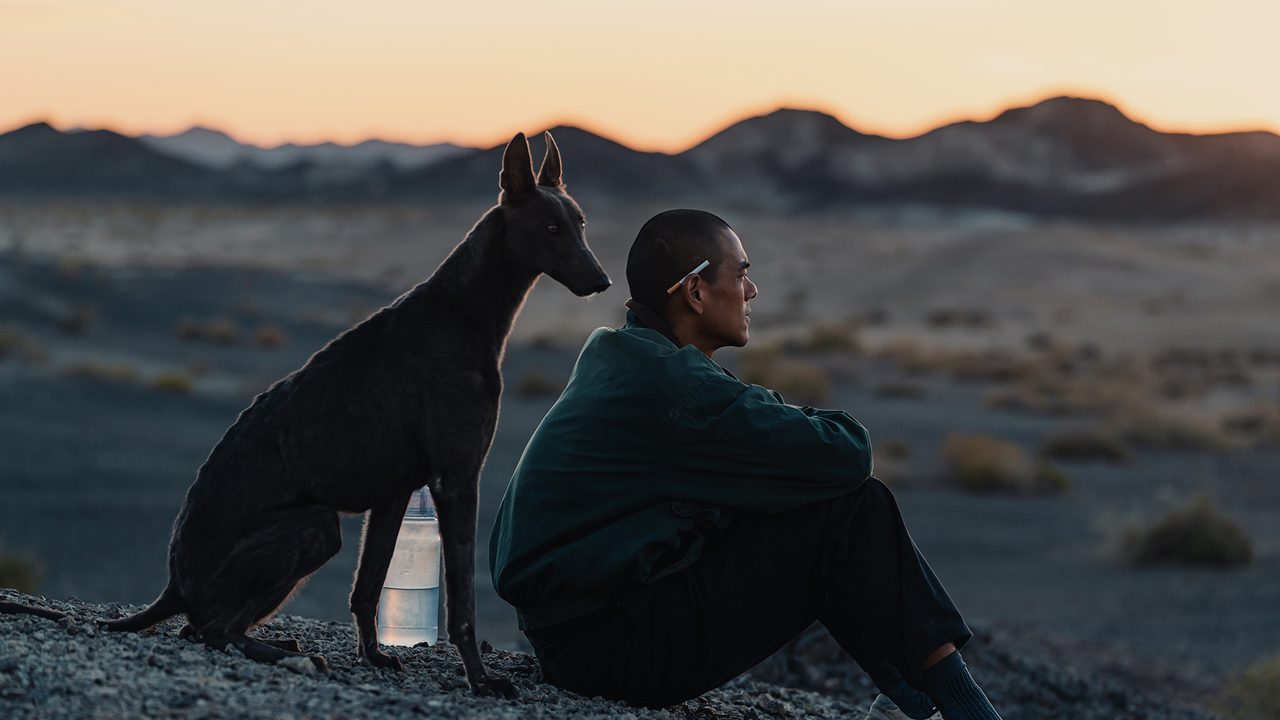 Black Dog - Pathé Thuis