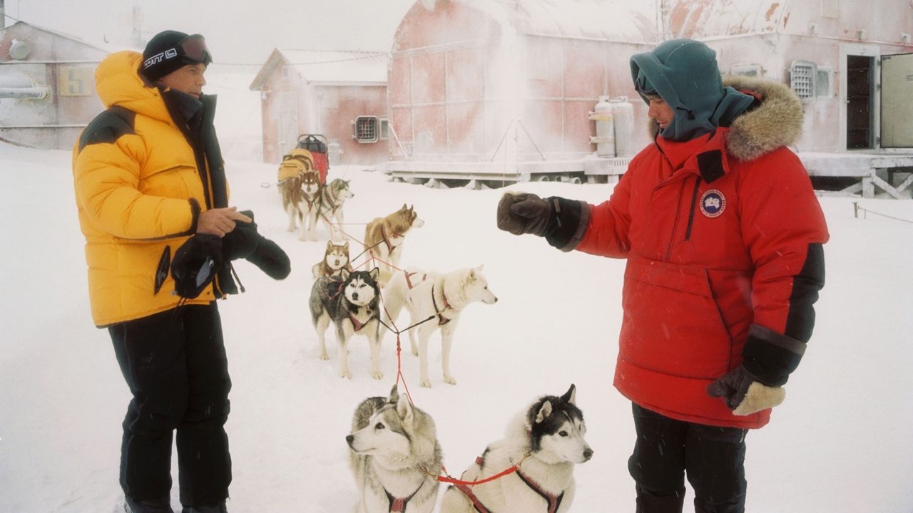 Eight Below Huskies